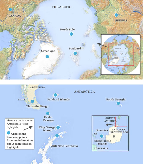 Where to go: Antarctica or the Arctic? Antarctica & Arctic highlights ...