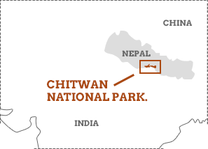 Chitwan National Park travel guide