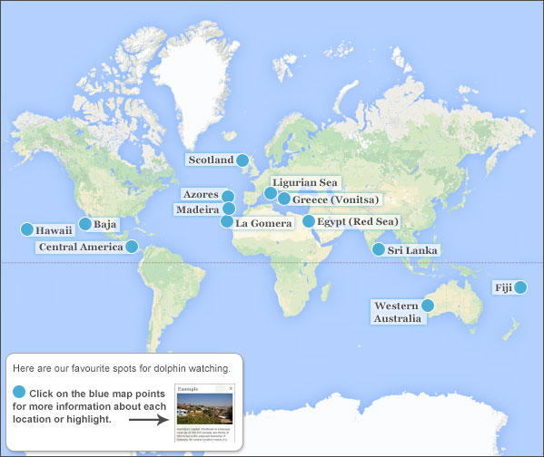 Best place to swim with dolphins. Travel guide on where to swim with ...