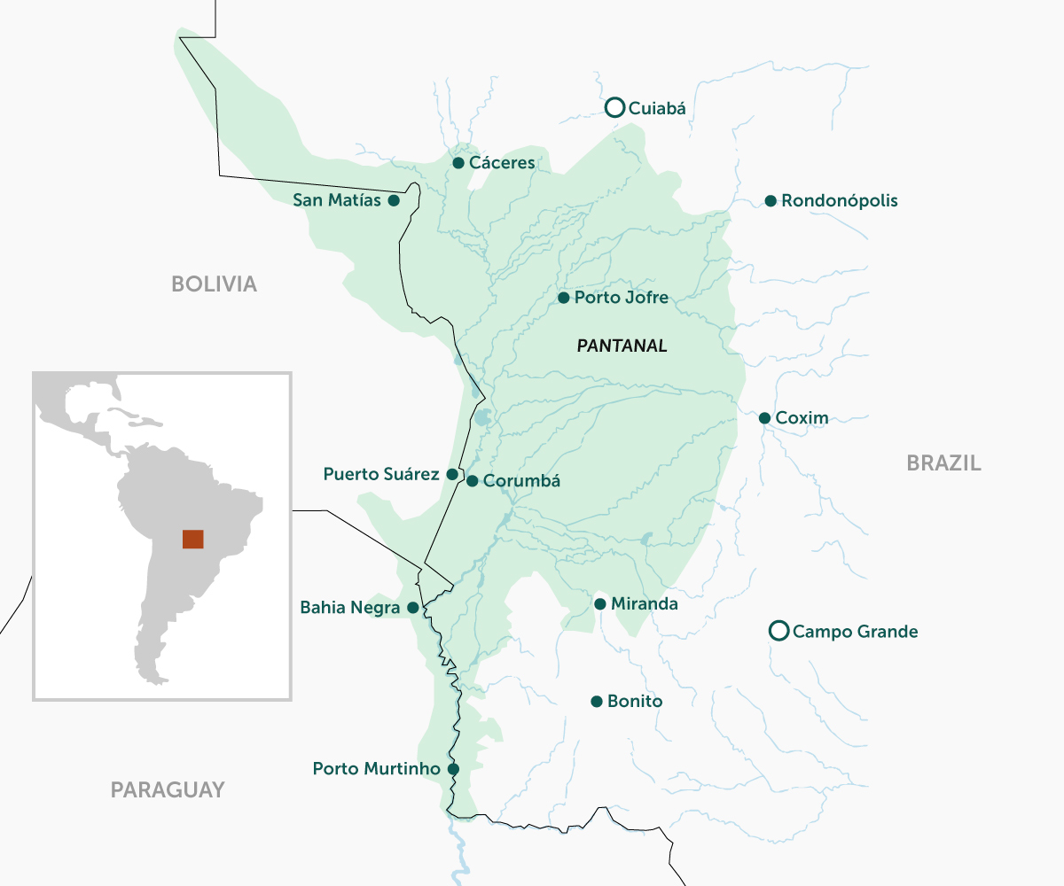 Pantanal travel guide