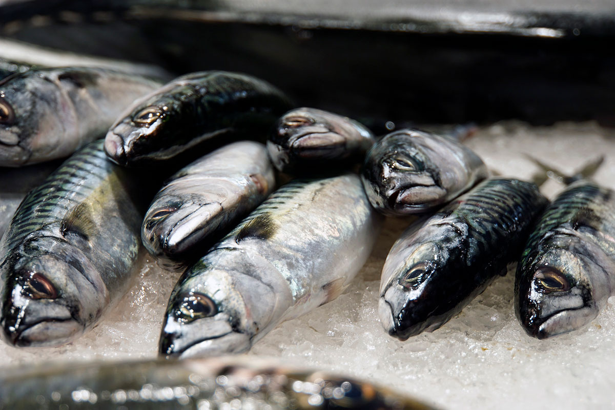 Top 10 food holidays in Europe