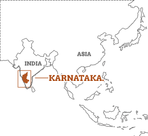 Karnataka travel guide