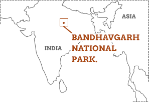 Bandhavgarh travel guide