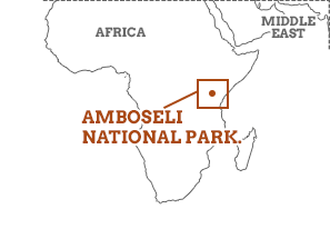 Amboseli National Park travel guide