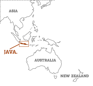 Java travel guide