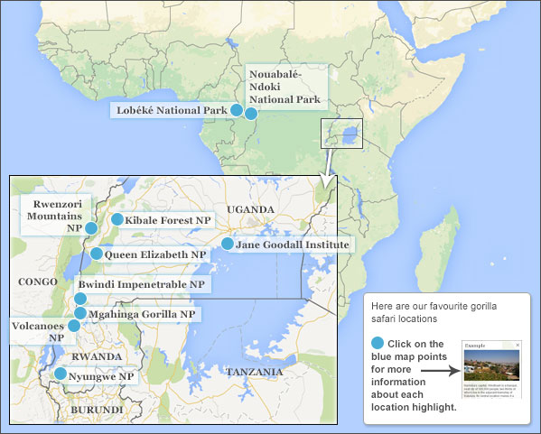 Where to see gorillas