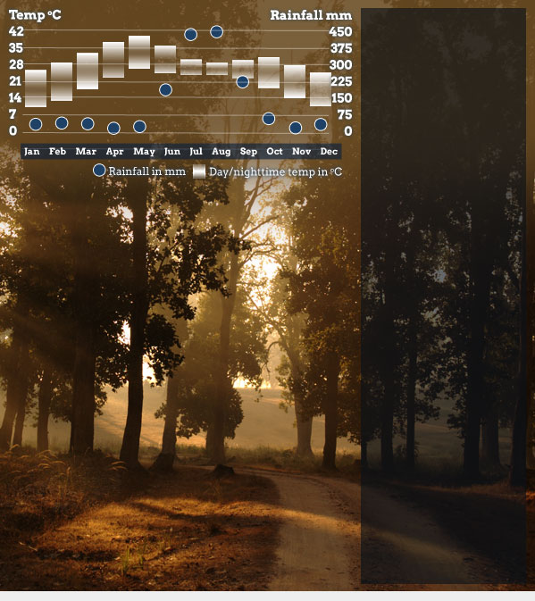 Best time to visit Kanha National Park. Helping Dreamers Do.