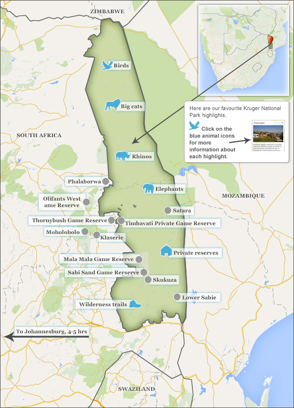 Kruger National Park travel guide