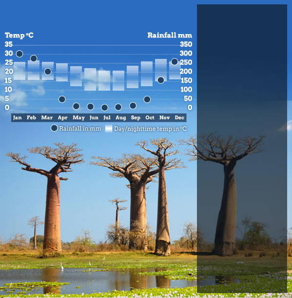 Best time to visit Madagascar. Responsible travel guide to when to ...