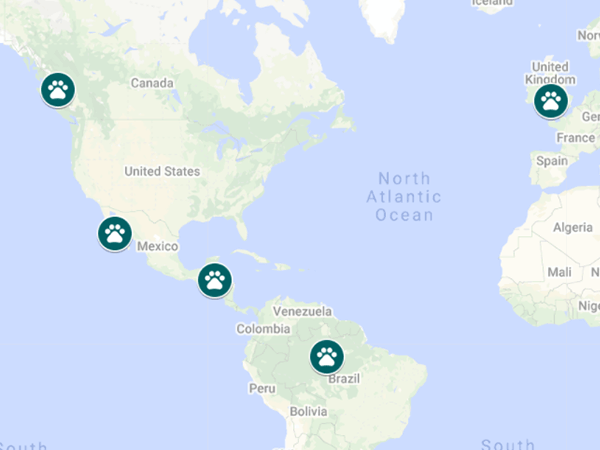 Responsible Travel's blog
