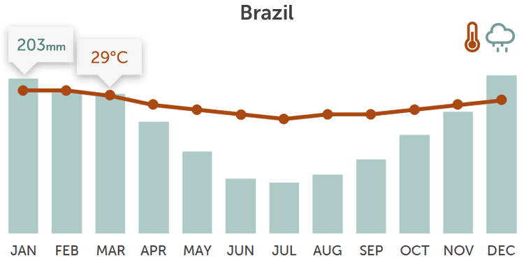 Brazil holidays. Tours & holidays in Brazil in 2021 & 2022
