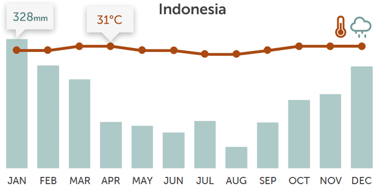 Indonesia holidays. Tours & holidays in the Indonesia in 2021 & 2022