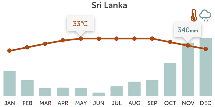 Sri Lanka holidays. Tours & holidays in Sri Lanka in 2021 & 2022