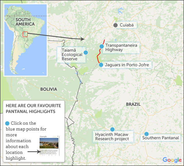 Pantanal travel guide