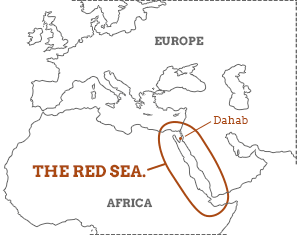 Red Sea diving guide