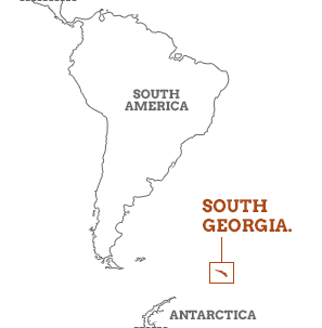 South Georgia travel guide