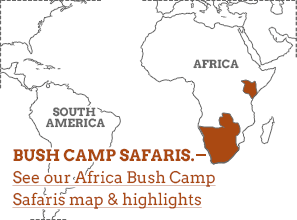 Bush camp safaris travel guide