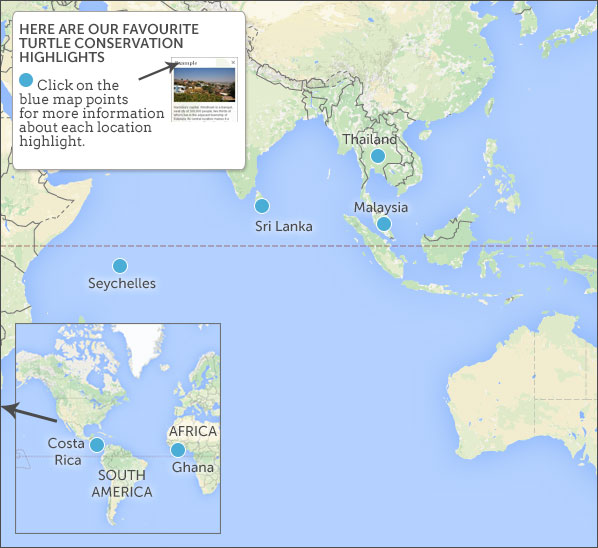 Best places to go on a turtle conservation holiday. Tips and advice.