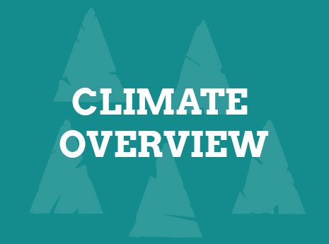 Responsible Travel values home page