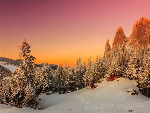 Transylvania winter walking & snowshoeing holiday | Responsible Travel