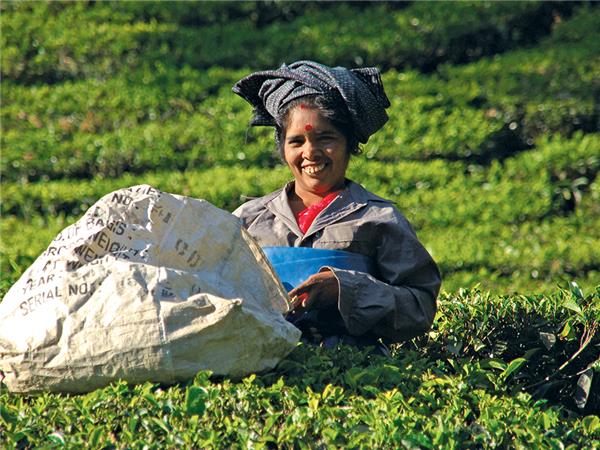 Kerala map & highlights