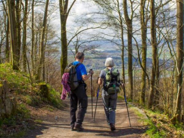 Germany walking holiday, Rhine River & Castles Walk | Responsible Travel