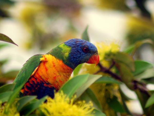 Best time to visit Queensland