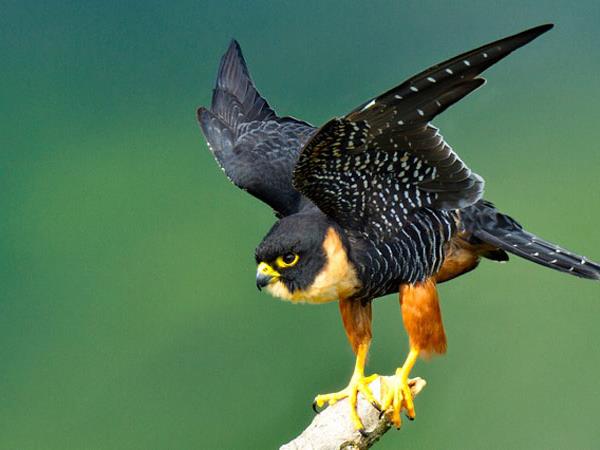 Amazon rainforest holidays in 2023 & 2024 | Responsible Travel