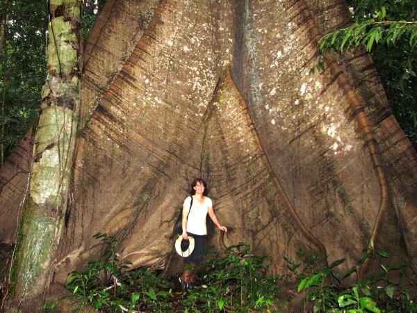 Amazon rainforest holidays & tours in 2024 & 2025 | Responsible Travel