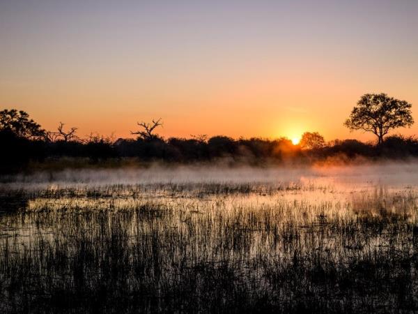 Okavango Delta travel guide. Helping Dreamers Do.