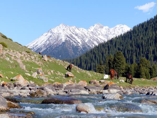 The Stans Country By Country