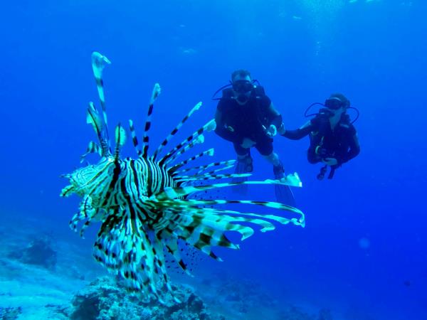 Learn to scuba dive in the Red Sea | Responsible Travel