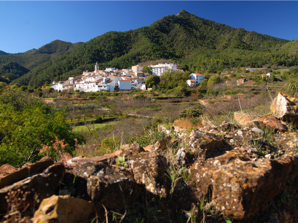 Valencia region history & geography
