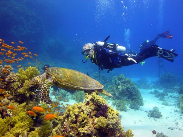 Scuba diving holidays - Responsible Travel