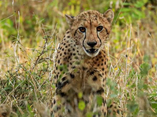 Malawi small group safari | Responsible Travel