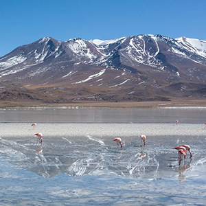 Best time to visit Bolivia