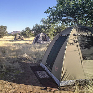 Bush camp safaris travel guide