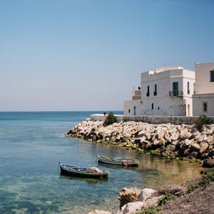 Tunisia travel guide