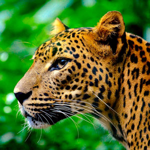 Costa Rica travel guide