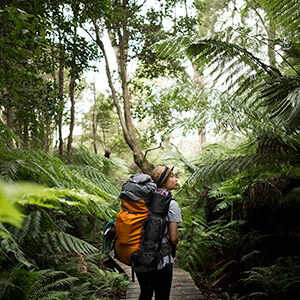 Best time to visit Victoria