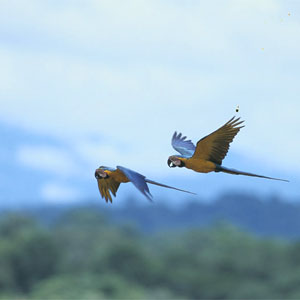 Best time to go on a rainforest holiday