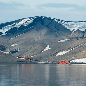 Best time to visit Antarctica