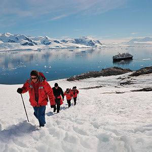 Best time to visit Antarctica