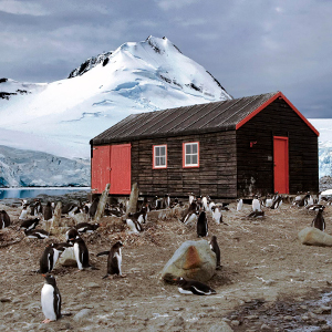 The islands of Antarctica