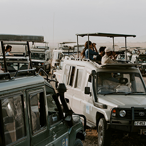 Our guide to Responsible Tourism