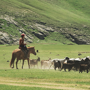 Holidays with nomadic tribes and communities