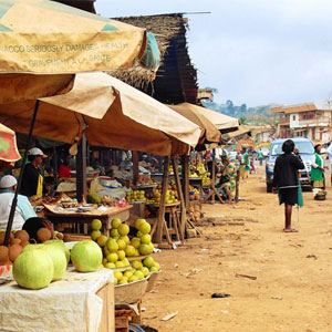 Best time to visit Cameroon