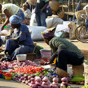 Voodoo markets in West Africa