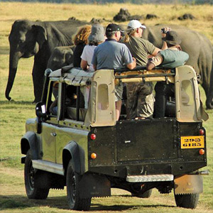 Wildlife travel guide