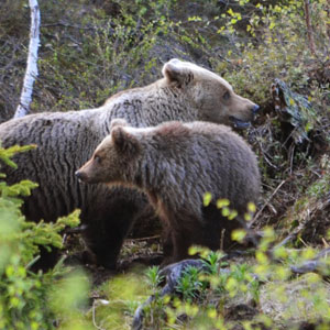 Best time to visit Bulgaria